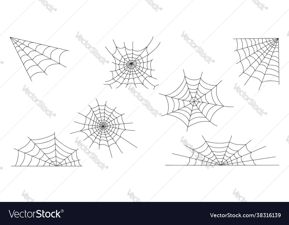 Cobweb set isolated on white background spider Vector Image Cobweb set isolated on white background spider Vector Image