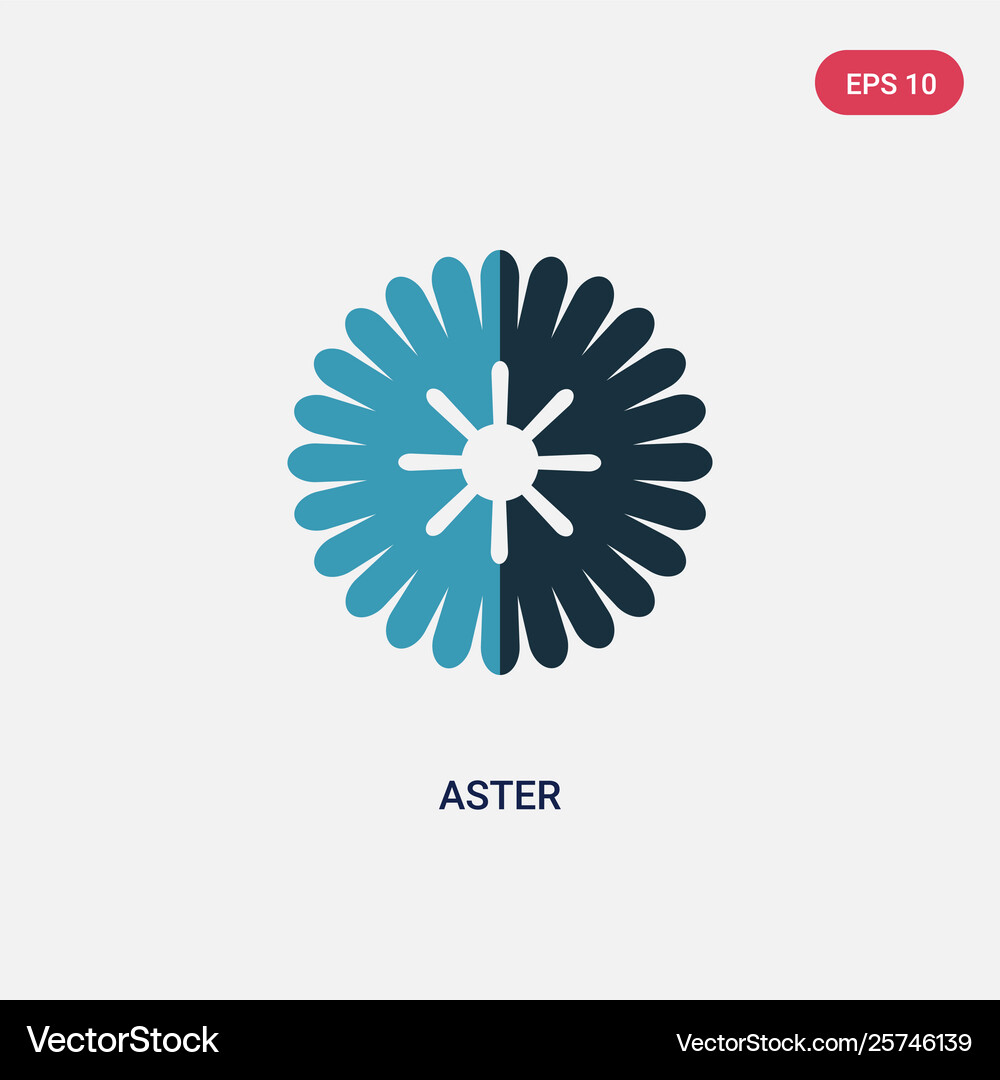 Two color aster icon from nature concept isolated Vector Image