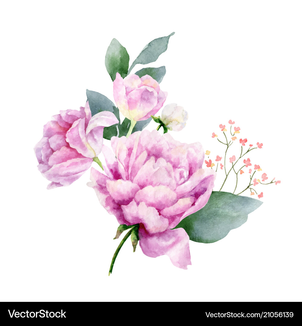 Watercolor hand painting Royalty Free Vector Image