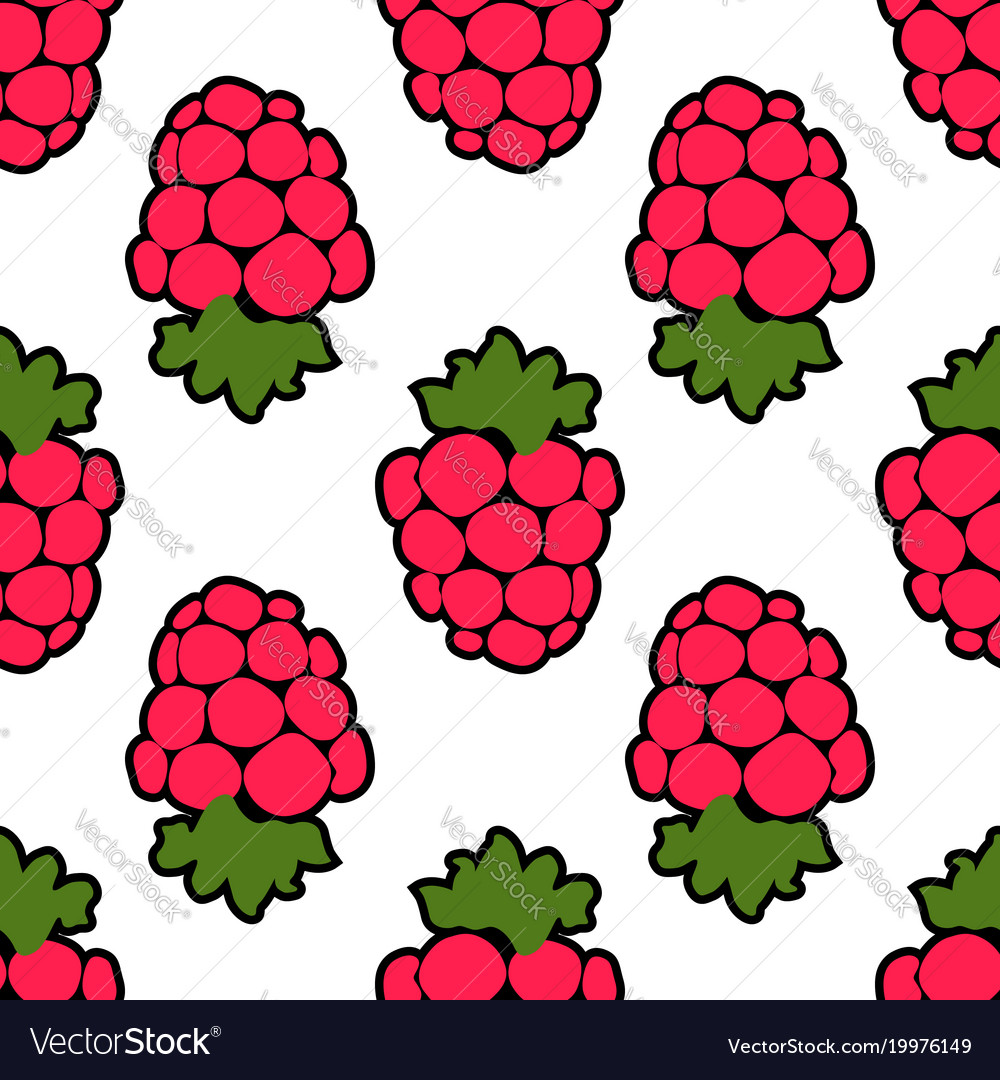 Seamless raspberry background white pink pattern Vector Image