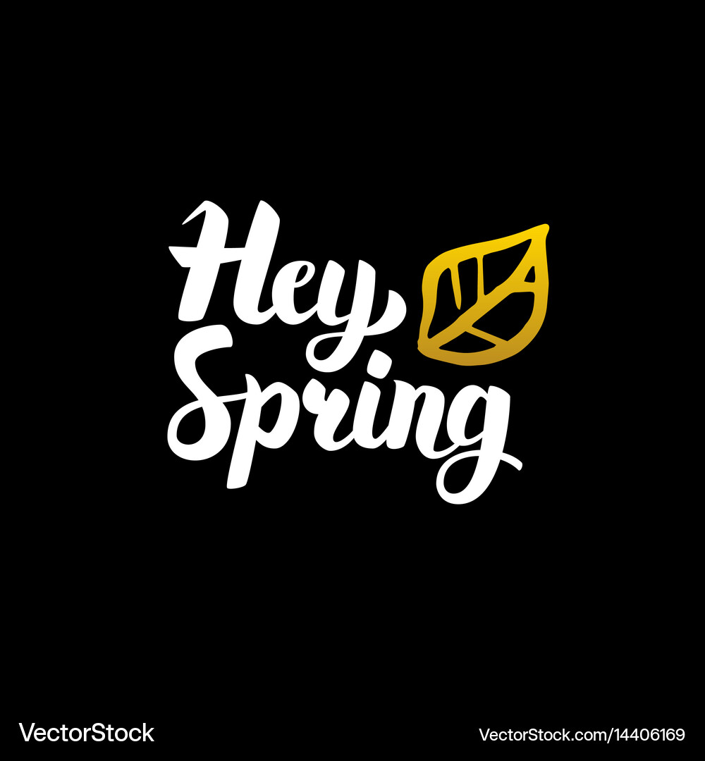 Hey spring handwritten calligraphy Royalty Free Vector Image