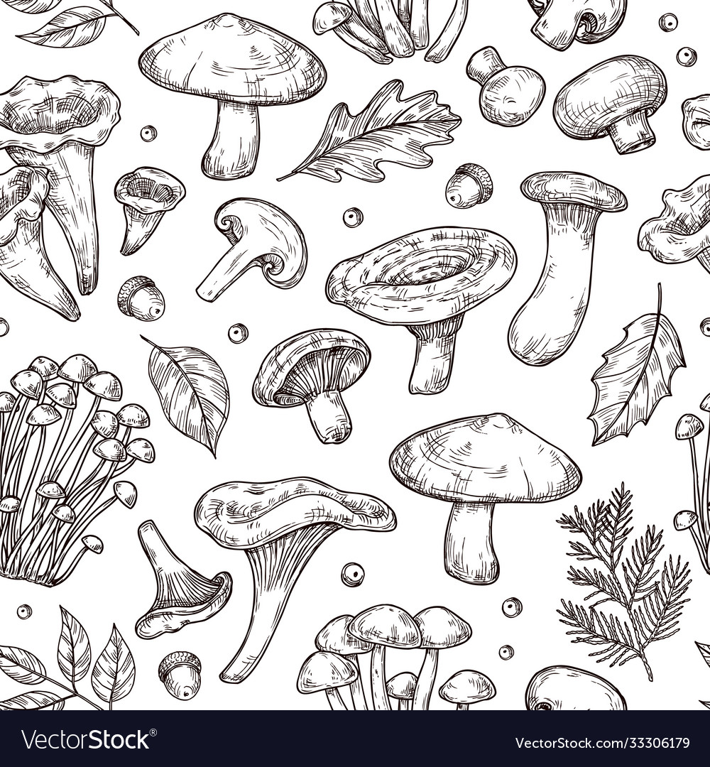 Autumn forest pattern sketch mushrooms forest Vector Image