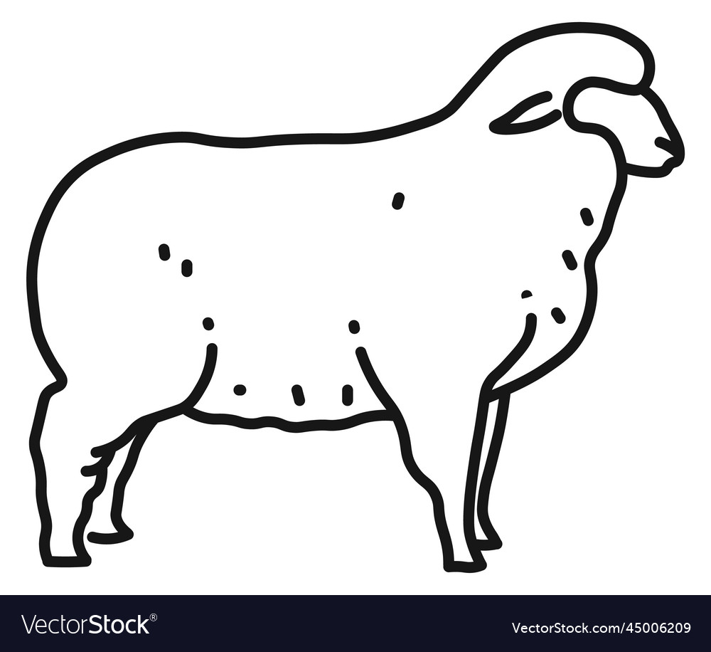 Sheep line icon lamb symbol farm animal Royalty Free Vector