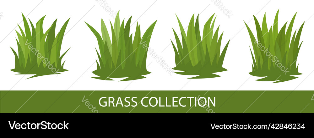 Green grass collection Royalty Free Vector Image