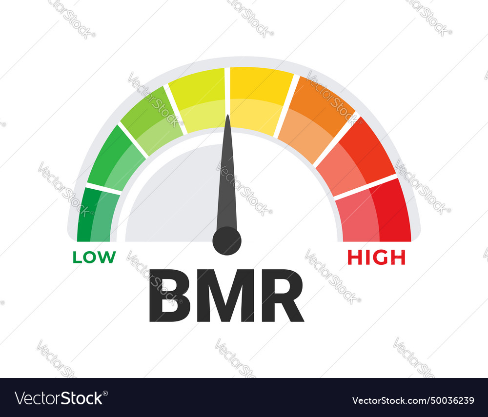 Basal metabolic rate bmr evaluation tool Vector Image