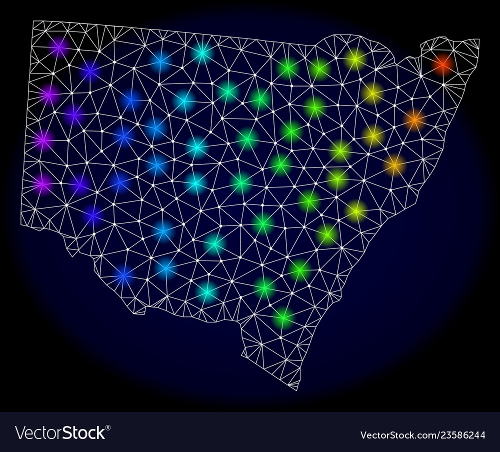 Polygonal network mesh map new south wales Vector Image Polygonal network mesh map new south wales Vector Image
