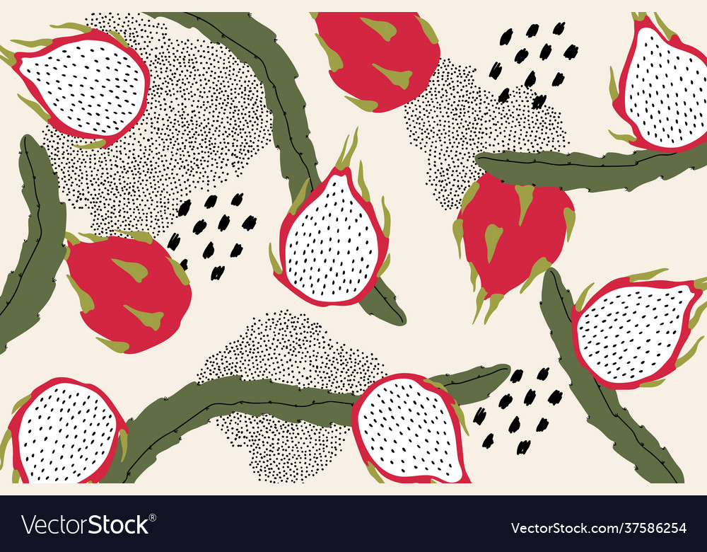 Dragon fruit pattern Royalty Free Vector Image