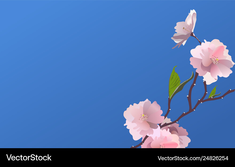 Fresh spring flowers background with frame Vector Image