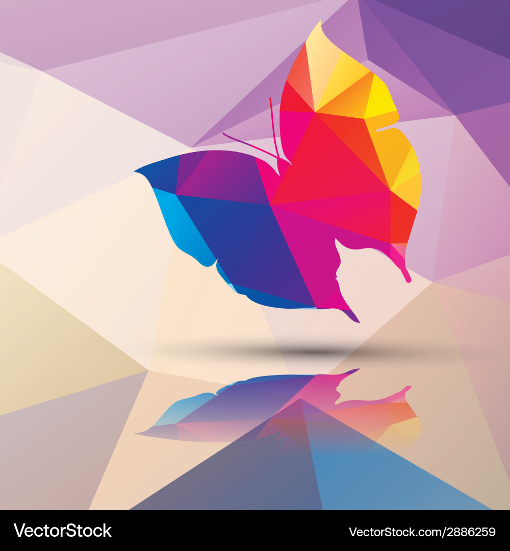 Geometric polygonal butterfly pattern design Vector Image