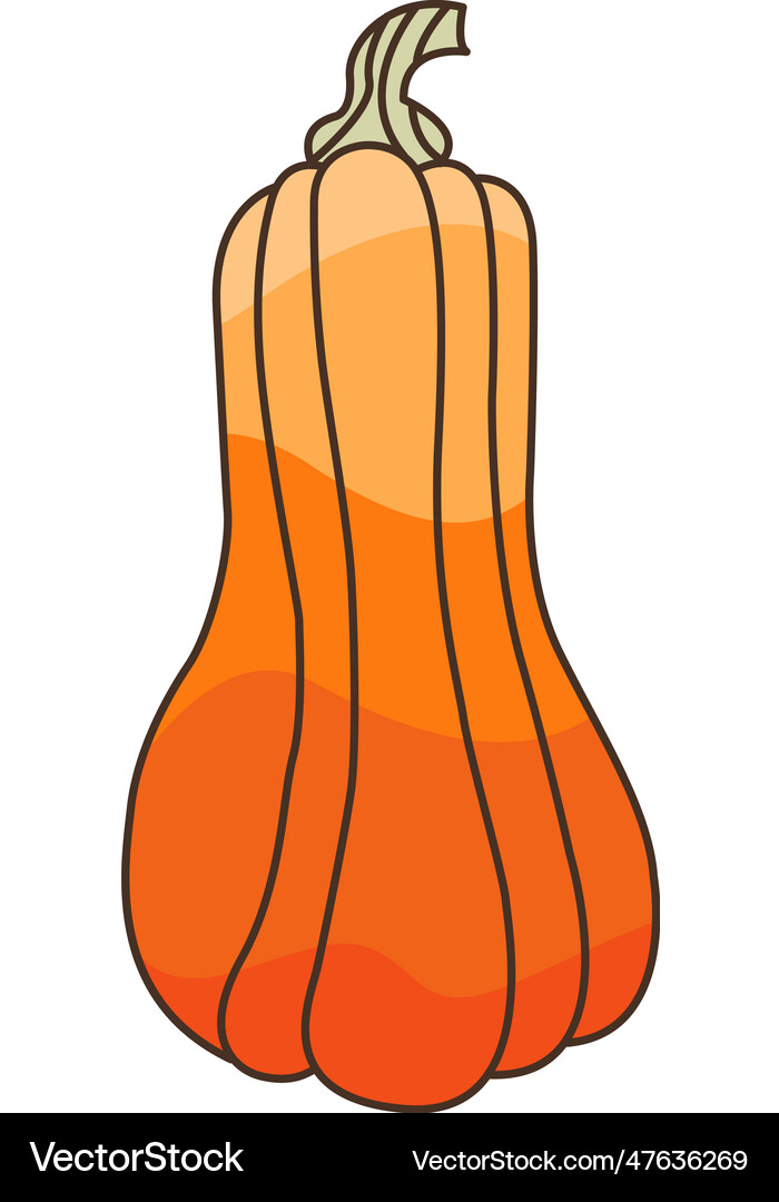 Squash pumpkin flat design for food Royalty Free Vector