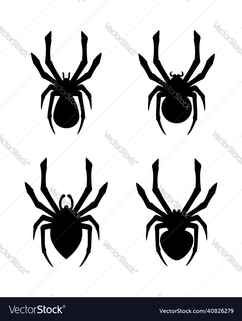 Set of spider icons Royalty Free Vector Image - VectorStock