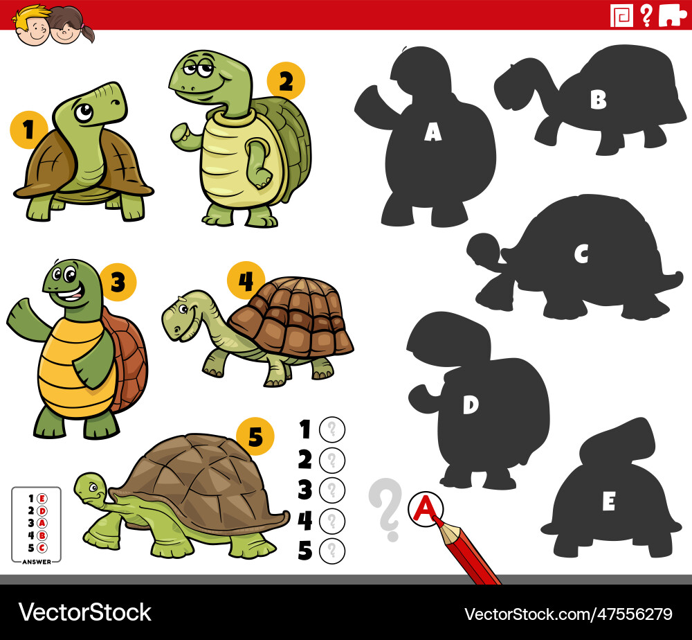 Shadows game with comic turtles animal characters Vector Image