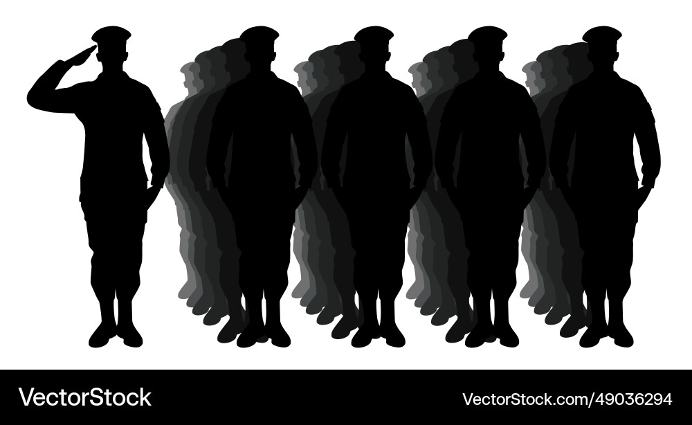 Soldiers are lining up salute Royalty Free Vector Image