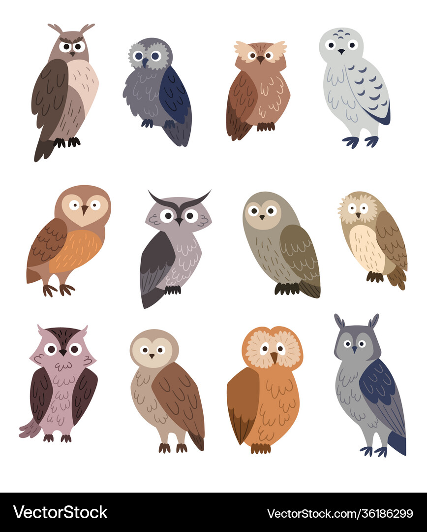 Collection cute cartoon owls Royalty Free Vector Image