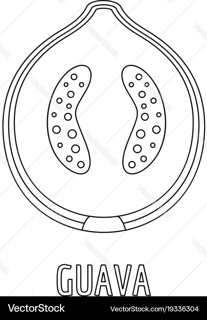 Guava icon outline style Royalty Free Vector Image