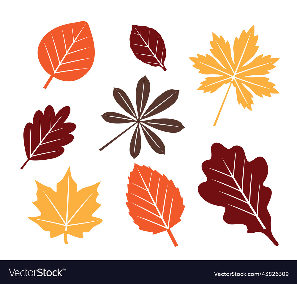 Fall leaves Royalty Free Vector Image - VectorStock