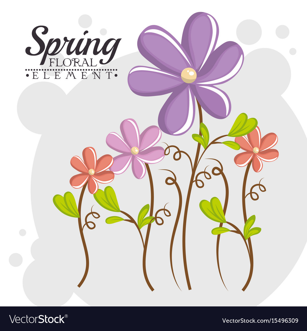 Floral spring graphic design Royalty Free Vector Image
