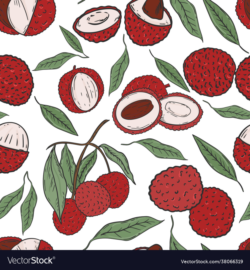 Lychee Fruit Pattern Royalty Free Vector Image