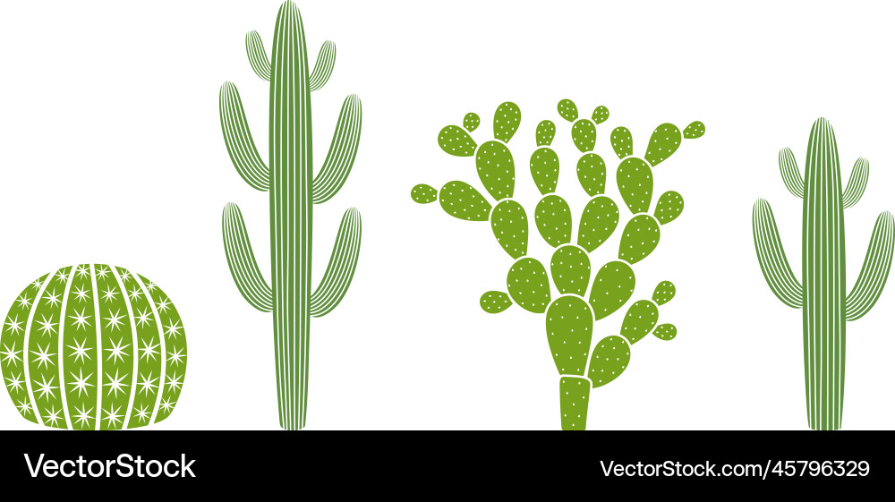 Cactus Royalty Free Vector Image - VectorStock