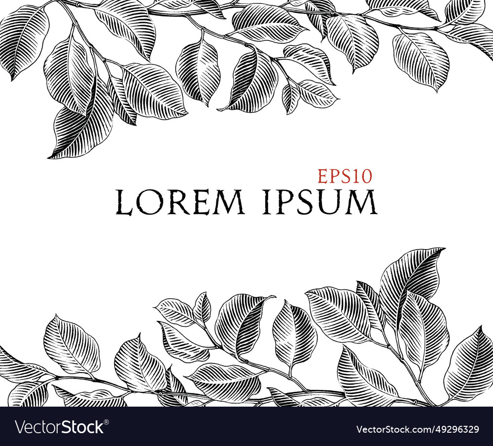 Foliage branches frame hand drawing vintage style Vector Image