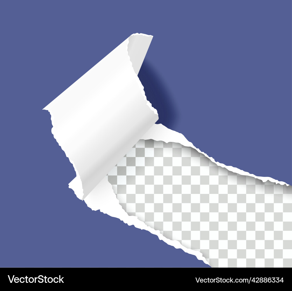 Paper corner torn hole of sheet Royalty Free Vector Image