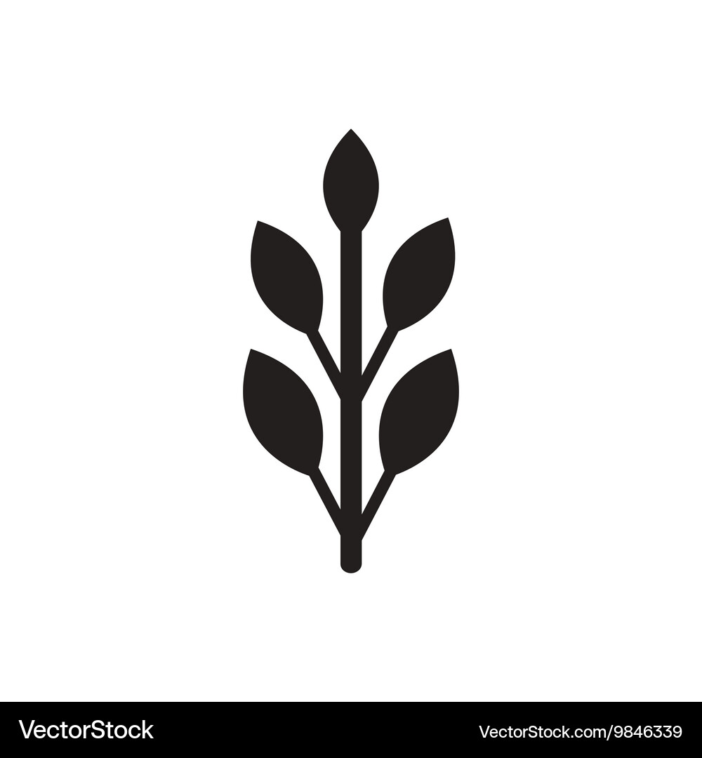 Black icon on white background tree leaf Vector Image