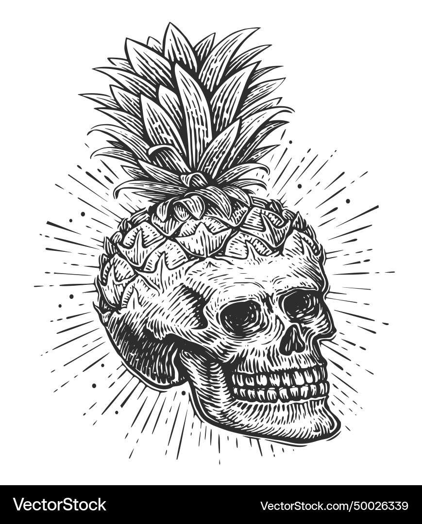 Human skull engraving skeleton head pineapple Vector Image