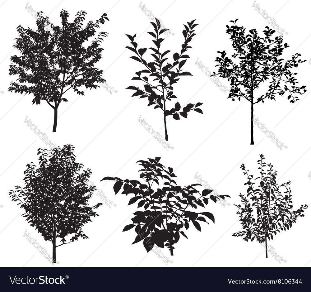 Trees Royalty Free Vector Image - VectorStock