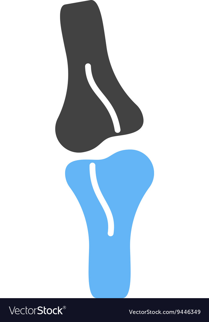 Joint Royalty Free Vector Image - VectorStock