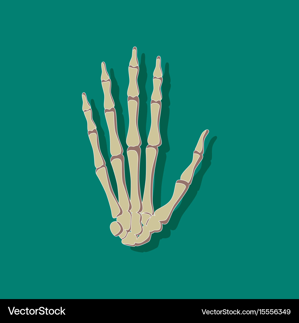 Wrist bone paper sticker on stylish background Vector Image