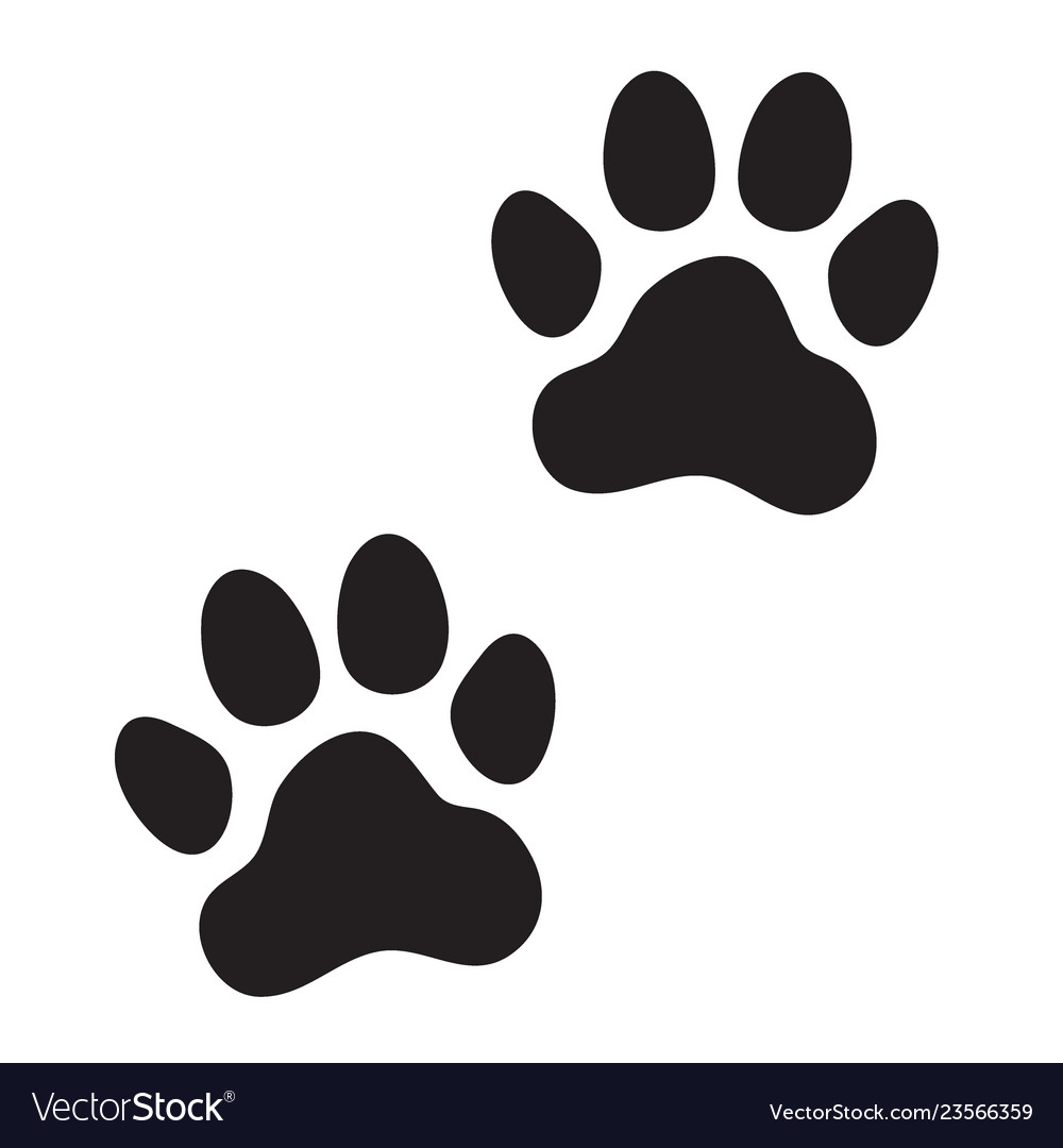 Are Cat And Dog Prints The Same