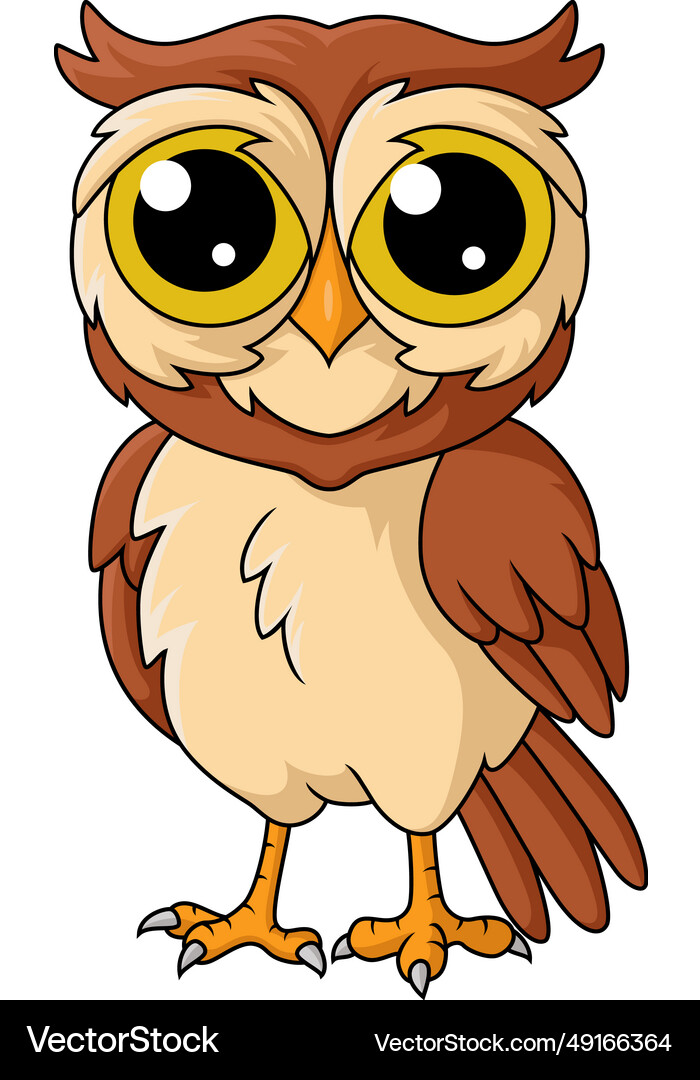 Cute little owl cartoon on white background Vector Image