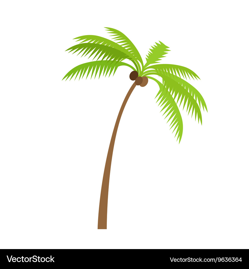 Palm tree with coconut Royalty Free Vector Image