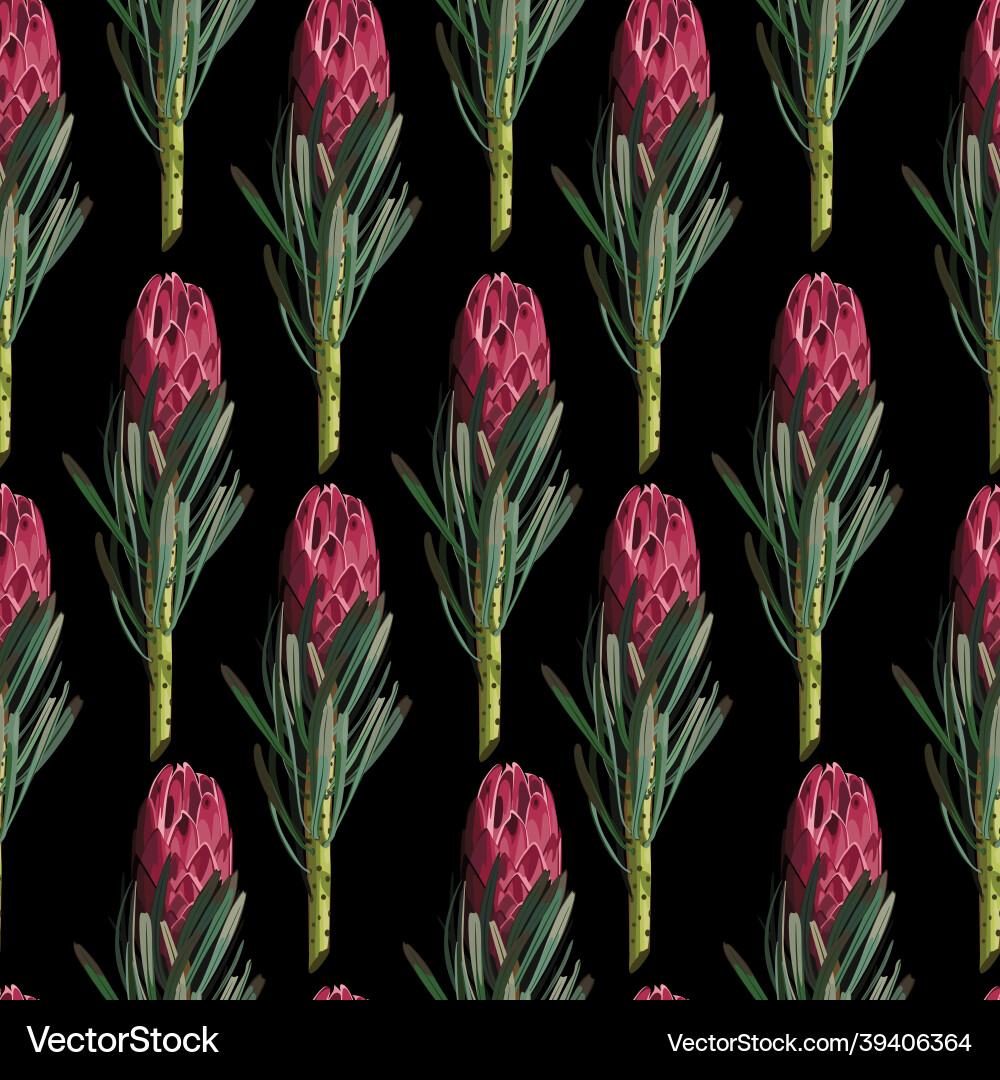 Seamless pattern protea sugarbushes flowers Vector Image