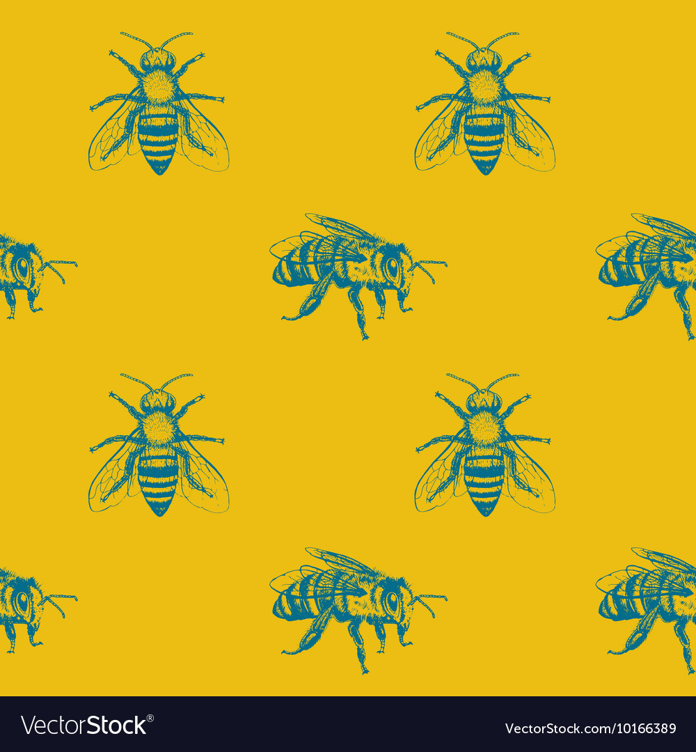 Bees seamless pattern Royalty Free Vector Image