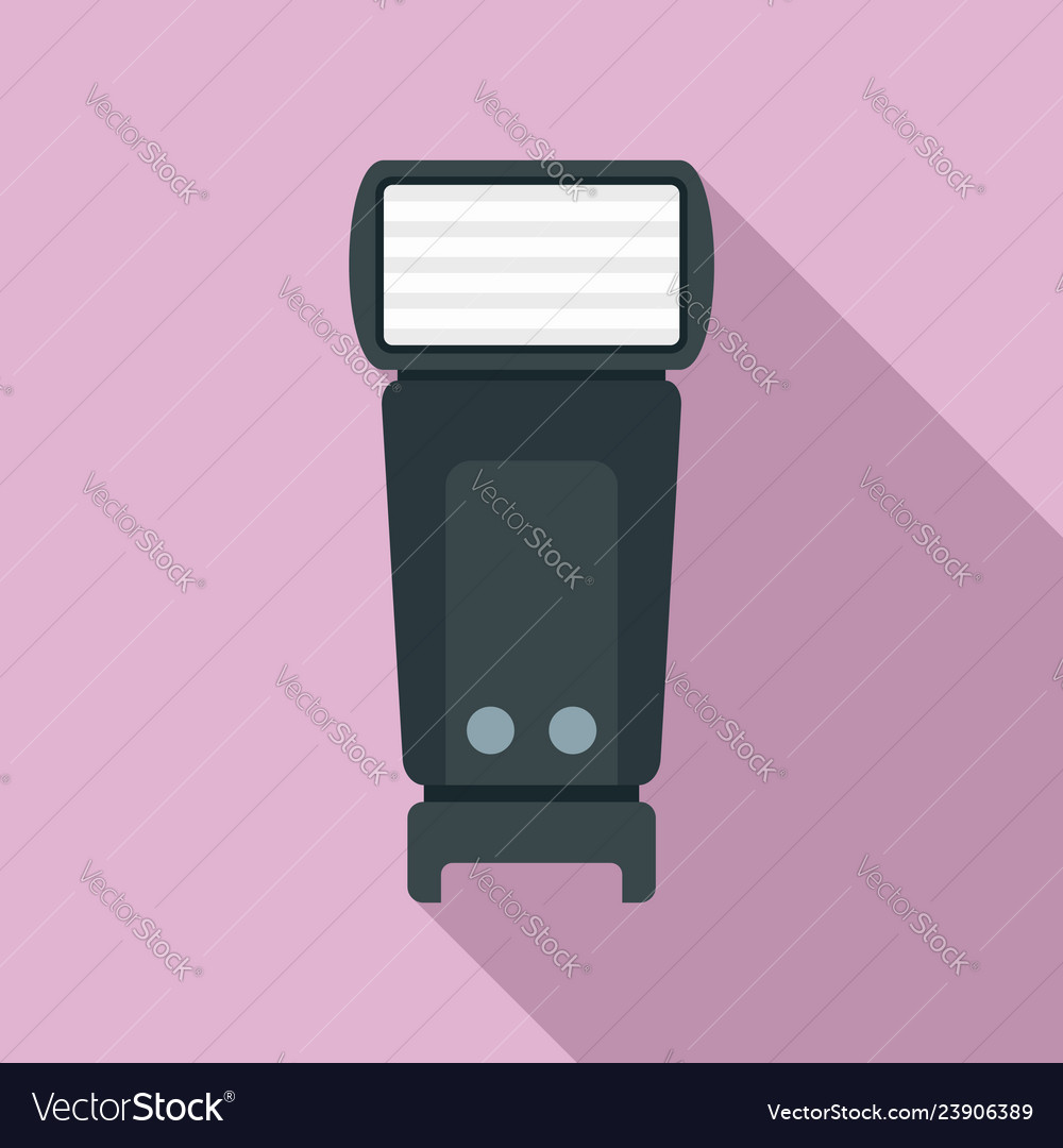 Camera flashlight icon flat style Royalty Free Vector Image