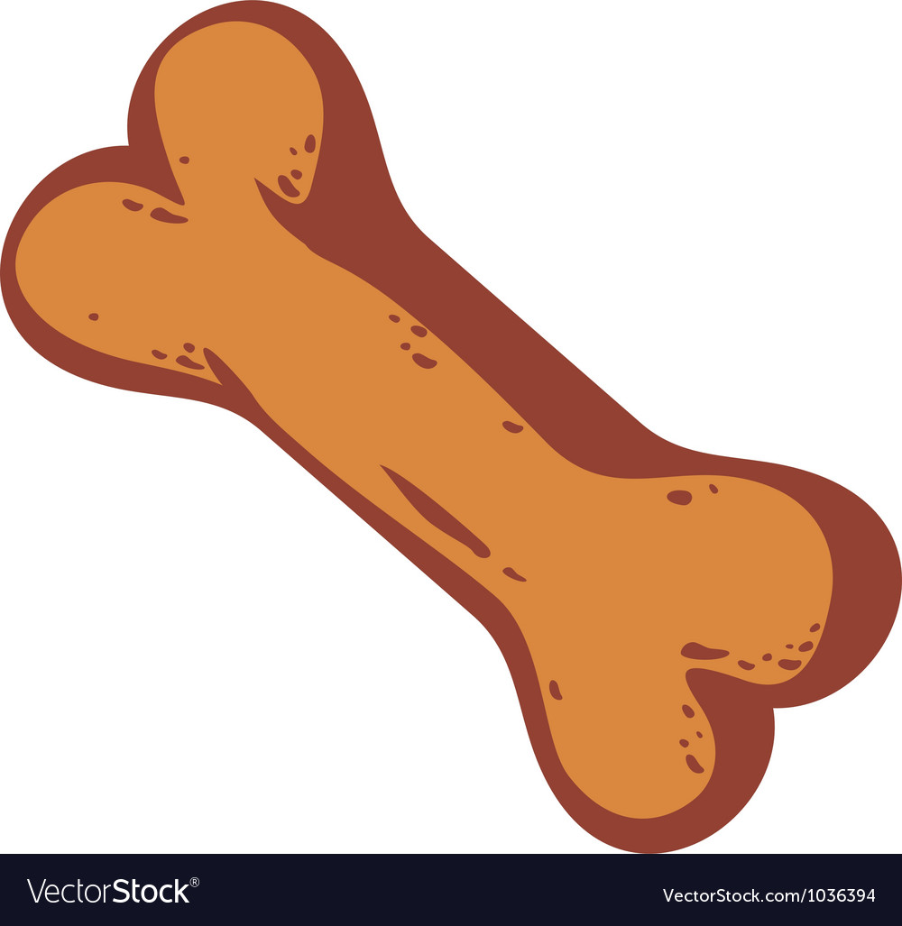 Bone Royalty Free Vector Image - VectorStock