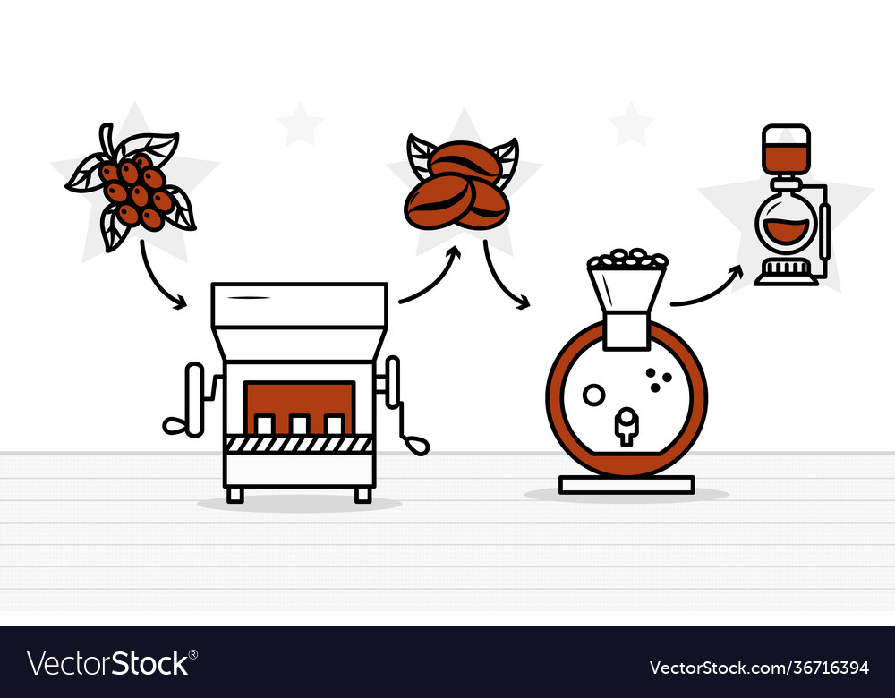 Coffee process Royalty Free Vector Image - VectorStock