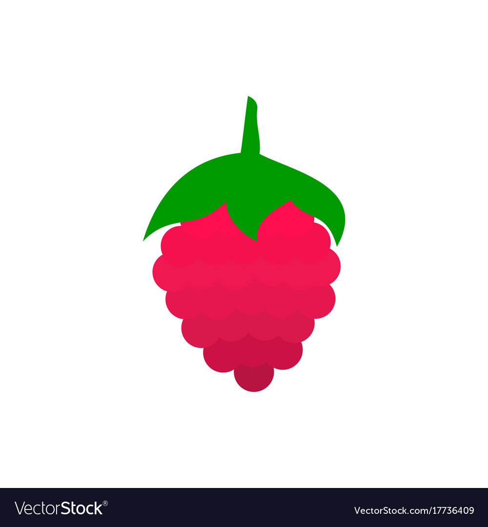 Raspberry Royalty Free Vector Image - VectorStock