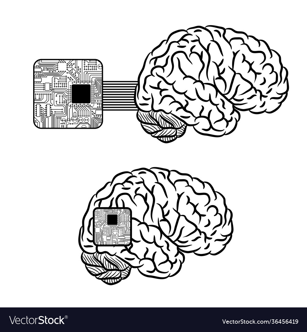 Brain microscheme background Royalty Free Vector Image