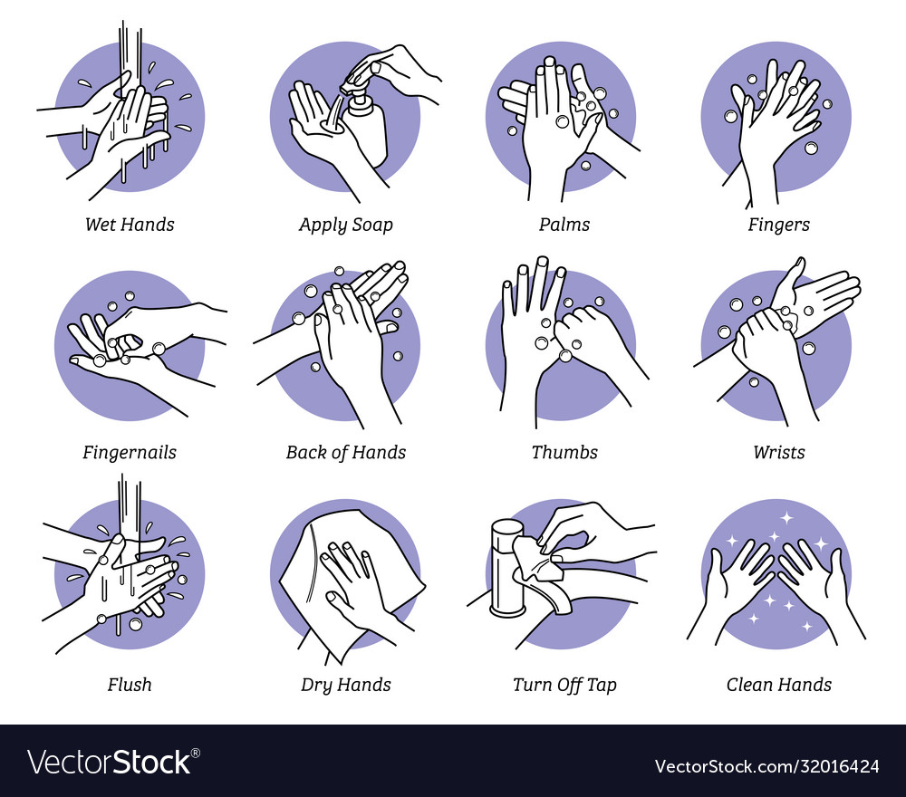How to wash hands step step instructions Vector Image