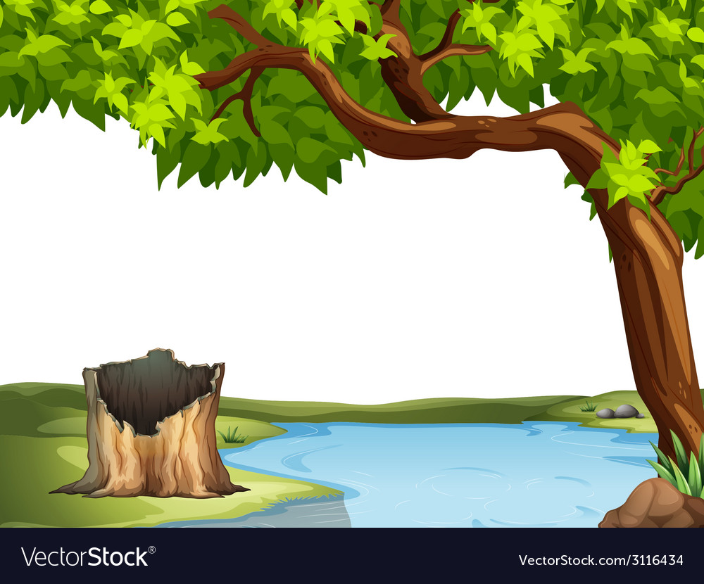 Pond Royalty Free Vector Image - VectorStock