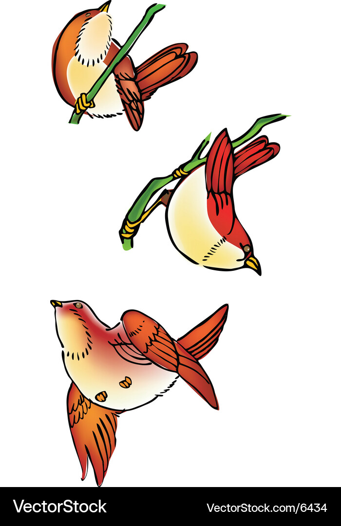 Three birds Royalty Free Vector Image - VectorStock