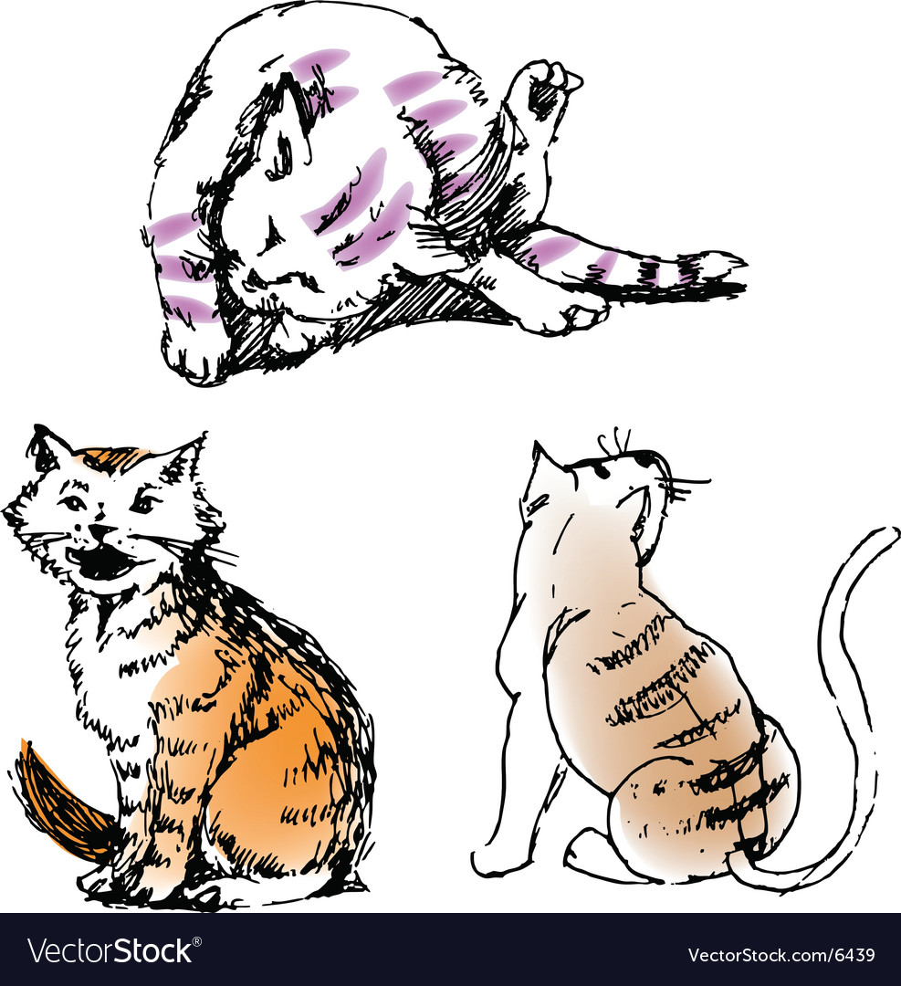 Poor Cat Drawing