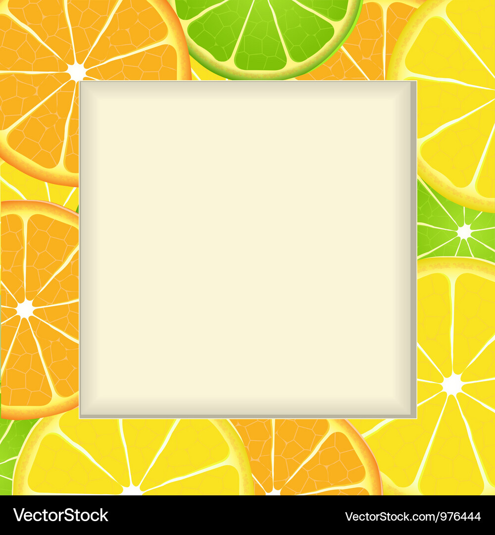 Citrus fruit frame background Royalty Free Vector Image