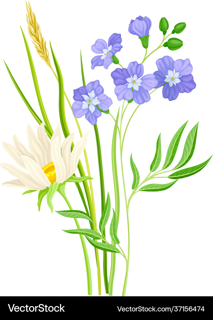 Wildflowers composition with meadow plants Vector Image