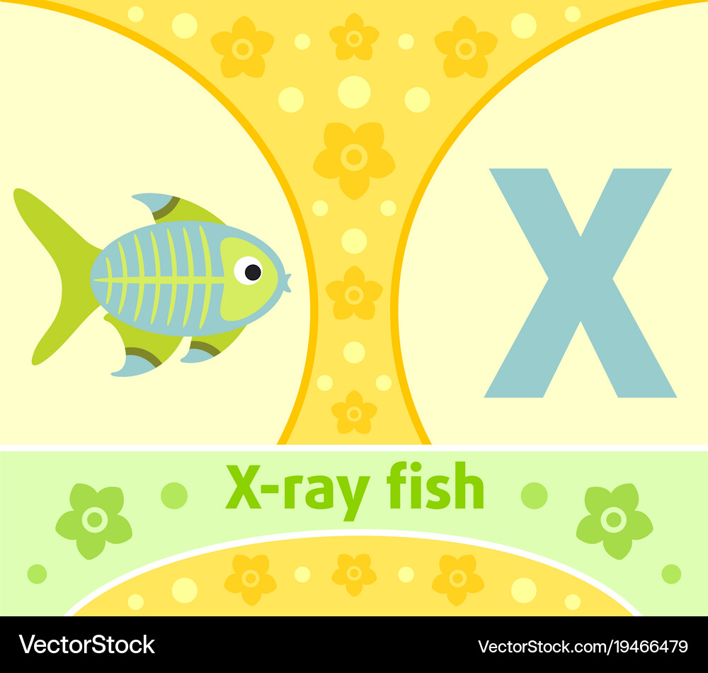 English alphabet with x-ray fish Royalty Free Vector Image