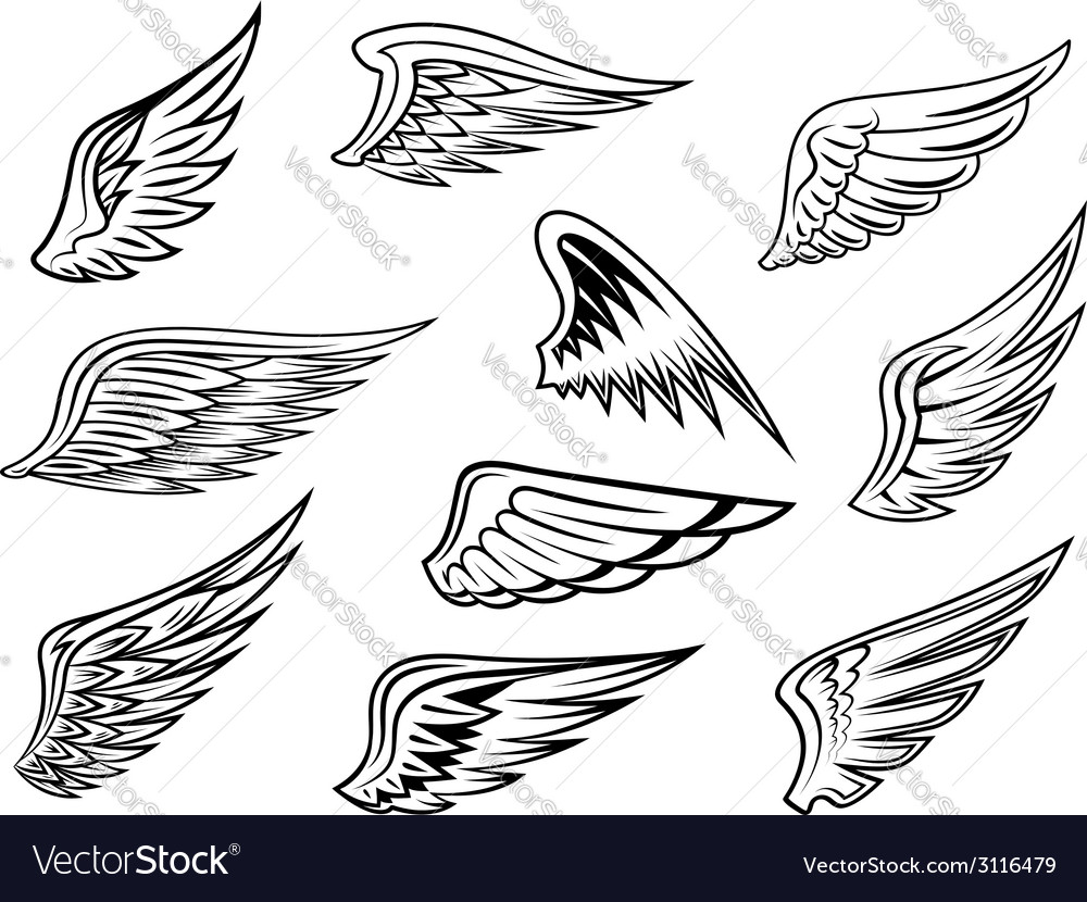 Heraldic Wings Set Royalty Free Vector Image Vectorstock