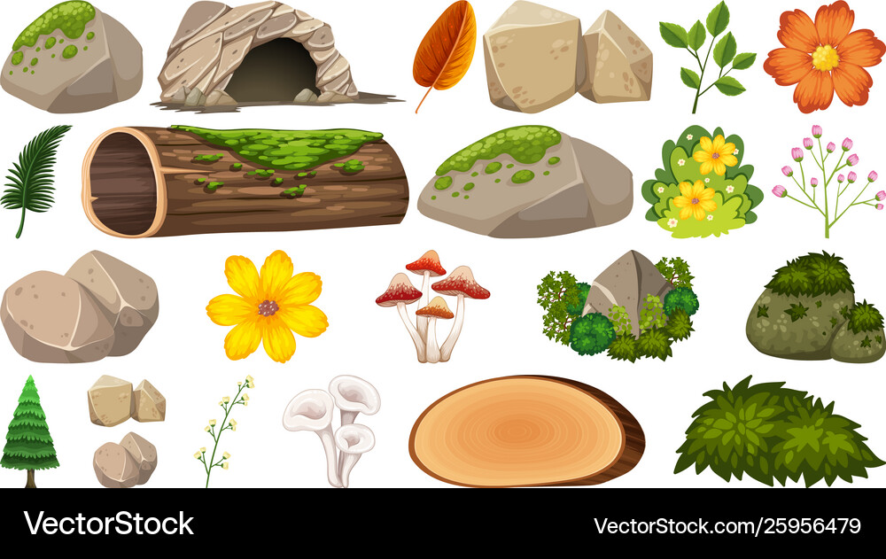 Set nature decoration Royalty Free Vector Image