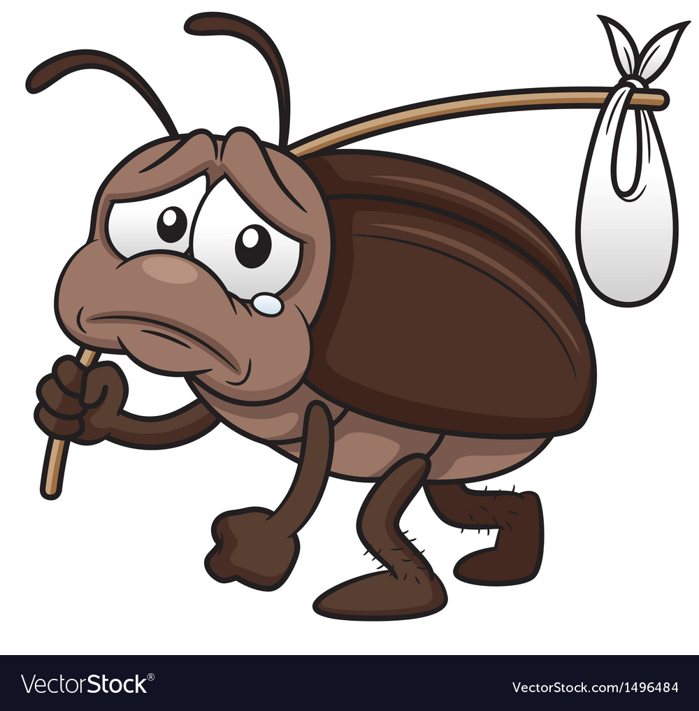 Cockroach Royalty Free Vector Image - VectorStock